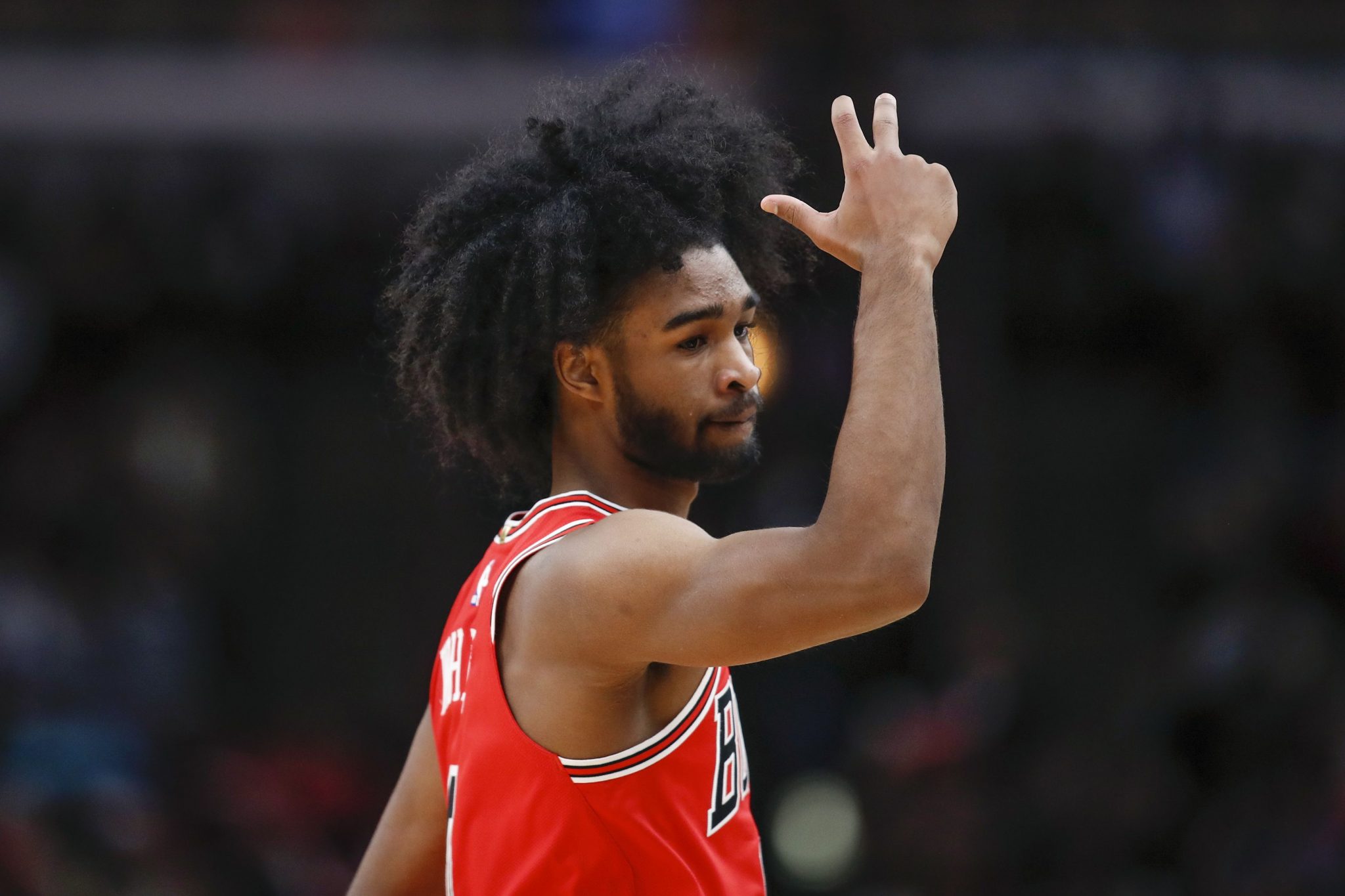 Coby White entra para a história da NBA - NBA PORTUGAL