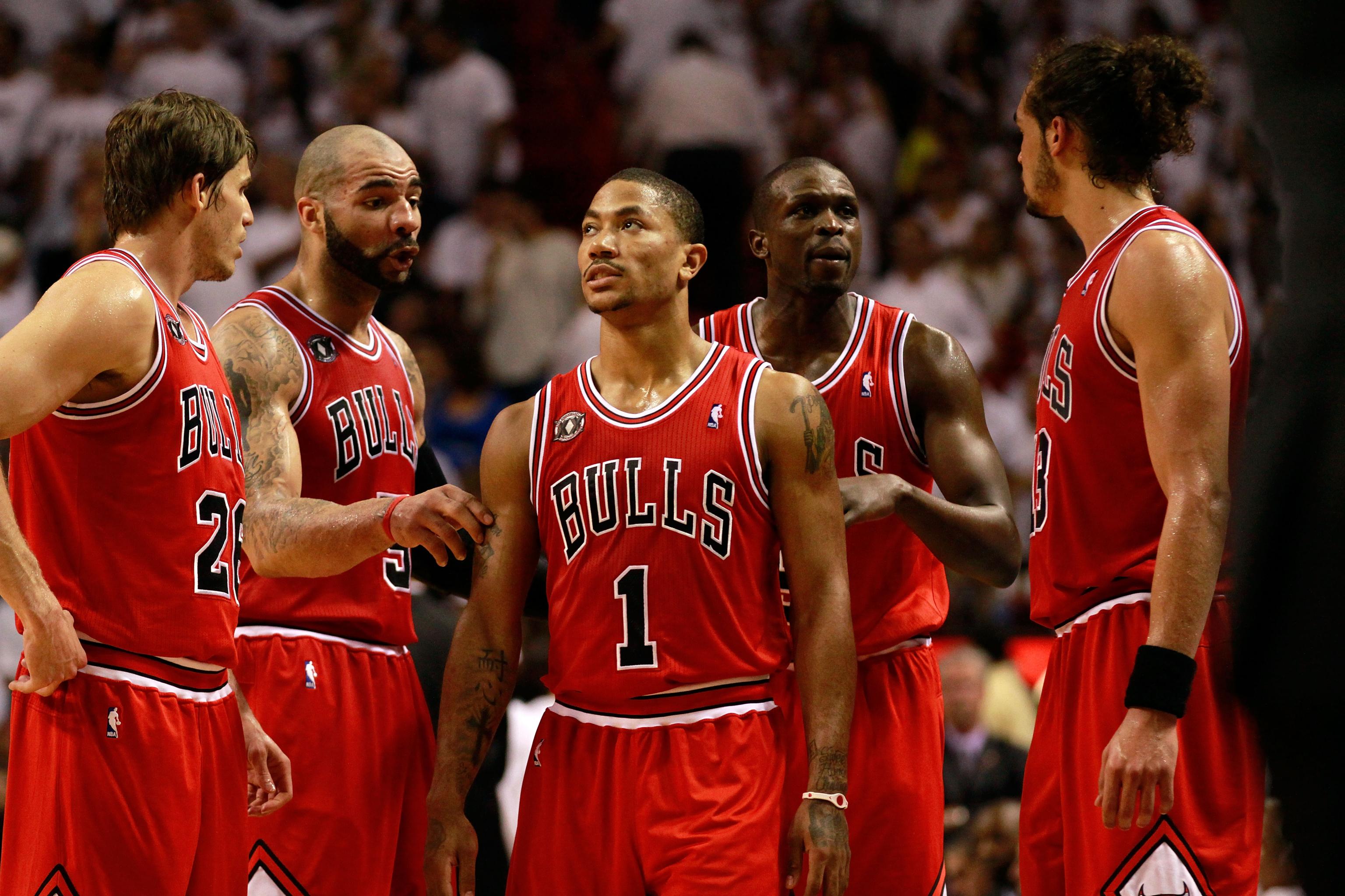 Os Touros Bem Domados Chicago Bulls NBA PORTUGAL